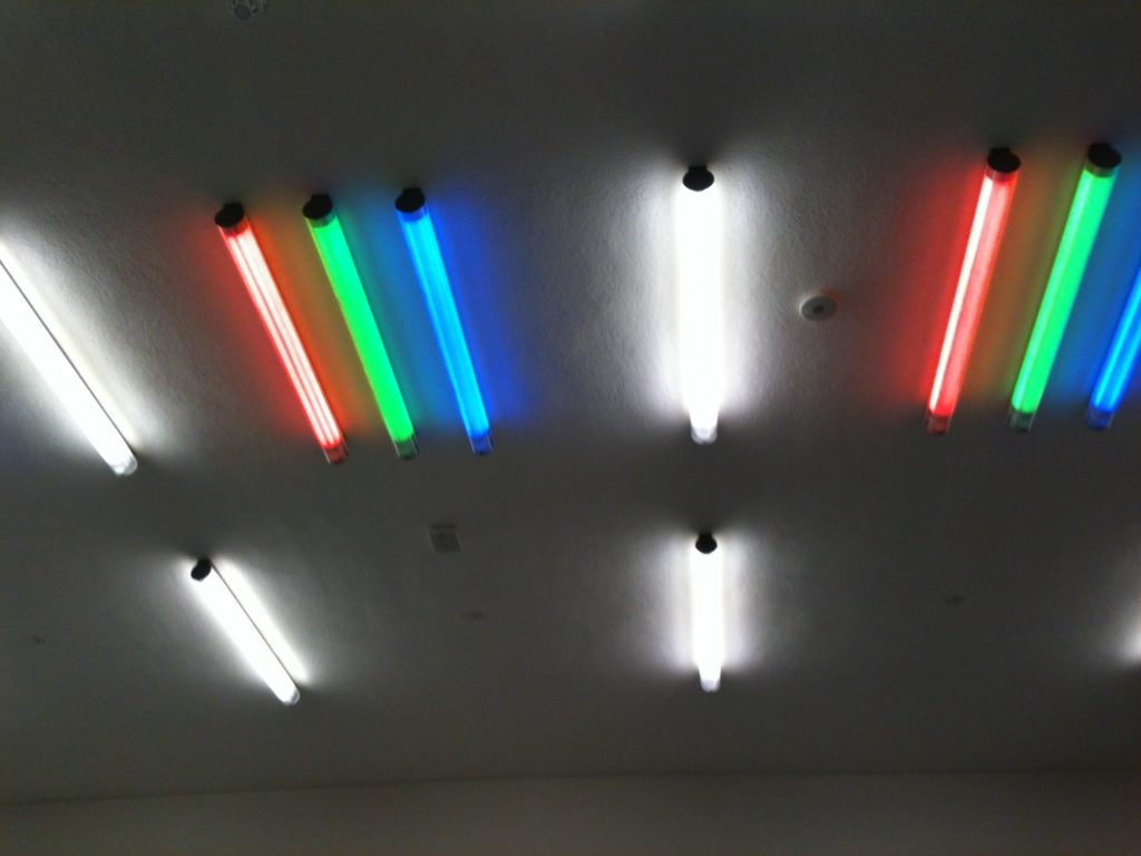 Go & See Project reports – Engage