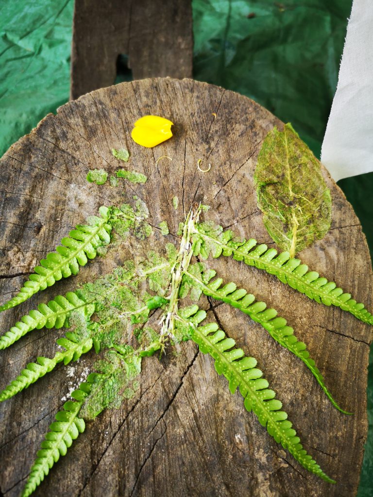 BALTIC Meet & Make Online / Foraged Creatures with artist Megan Randall ...