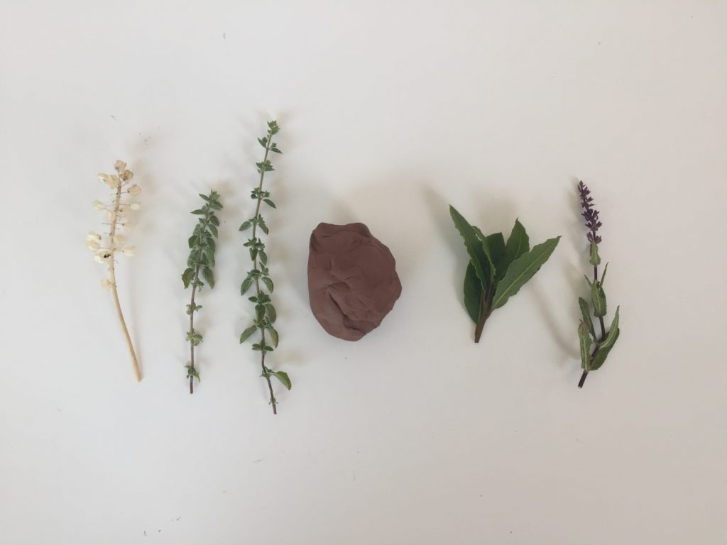 Nature Clay – Engage
