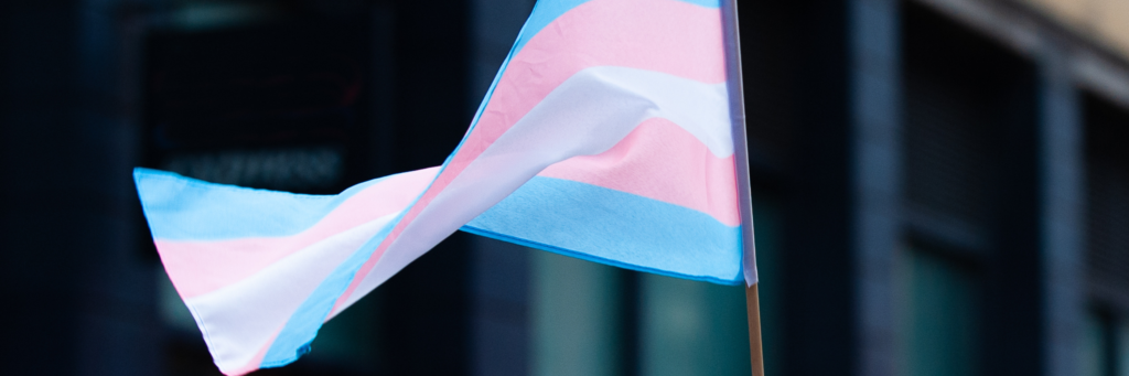 Trans Awareness & Supporting Trans (including Non-Binary) Young People ...