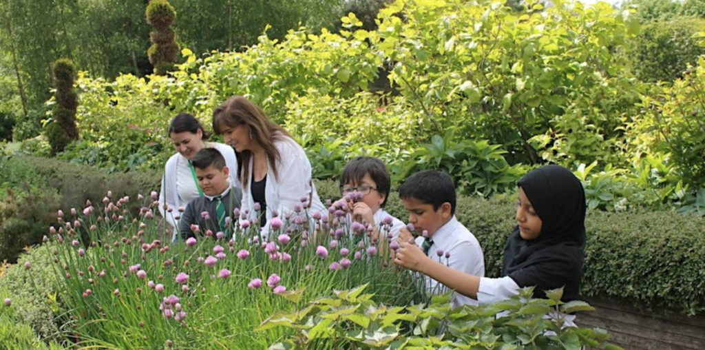 Outdoor Learning in Education and Cultural Organisations – Engage